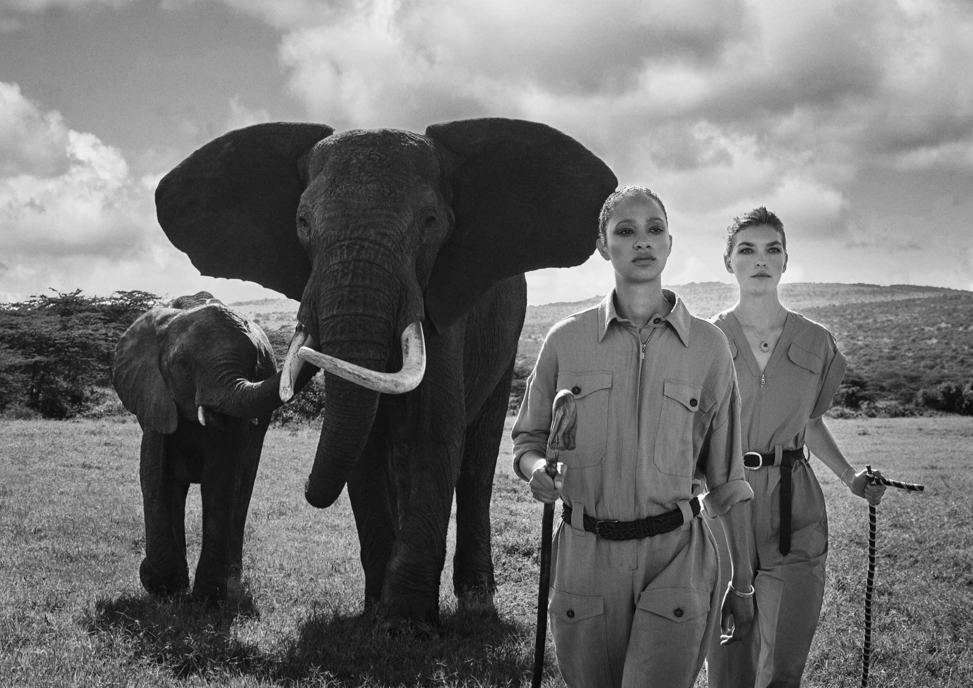 AYA x Gemfields exclusively for Walk for Giants